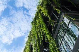 Green Star Rating System | Green Building Council of Australia